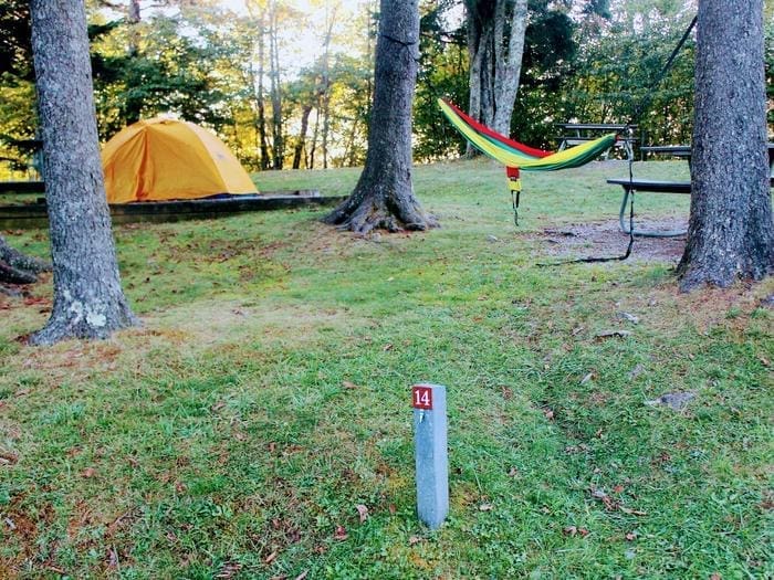 Balsam Mountain Campground - Discover Our Parks